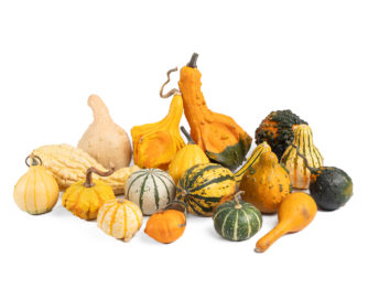 Assorted Gourds - Dizon Farms Delivers