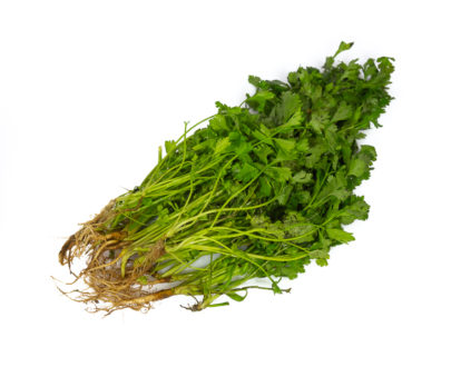 Kinchay - Dizon Farms Delivers