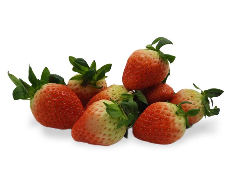 Korean Strawberry - Dizon Farms Delivers